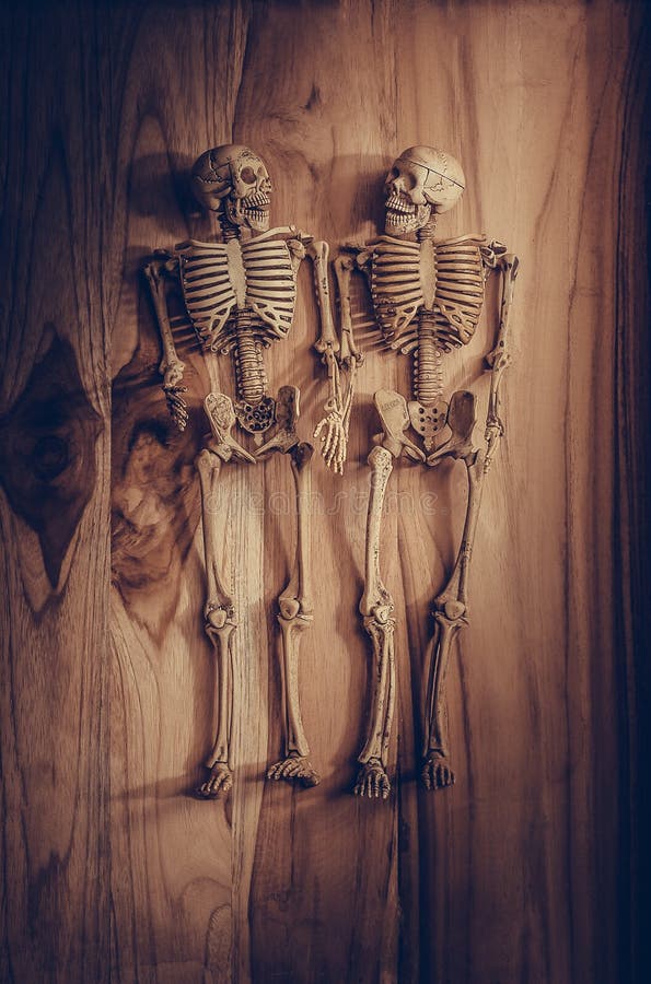 Skeleton Holding Hand for Eternal Love. Selective Focus on Hand Stock ...