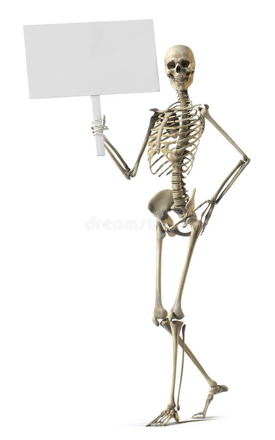 Skeleton holding sign stock image. Image of bone, death - 14395459