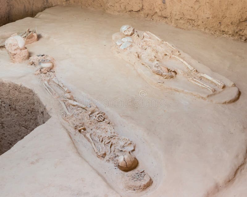 203 Buried Human Bones Stock Photos - Free & Royalty-Free Stock Photos ...