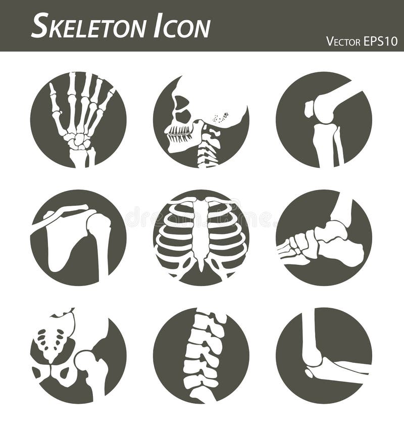 Bone Foot Icon Stock Illustrations – 8,182 Bone Foot Icon Stock ...