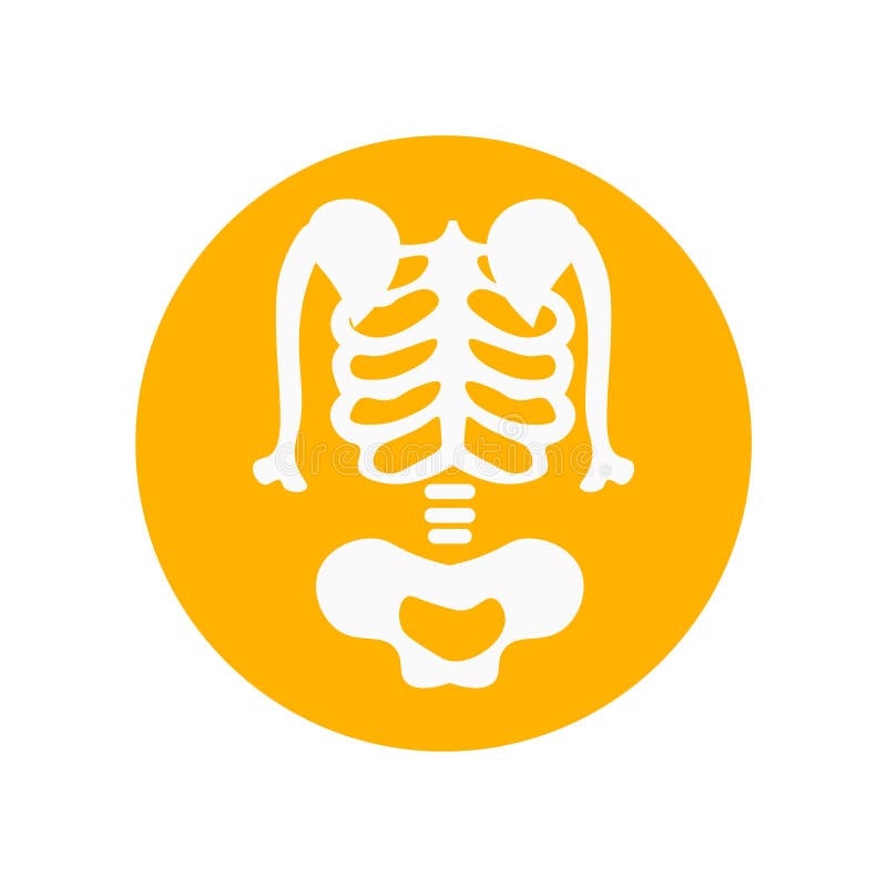 Skeleton Icon Vector Sign and Symbol Isolated on White Background ...