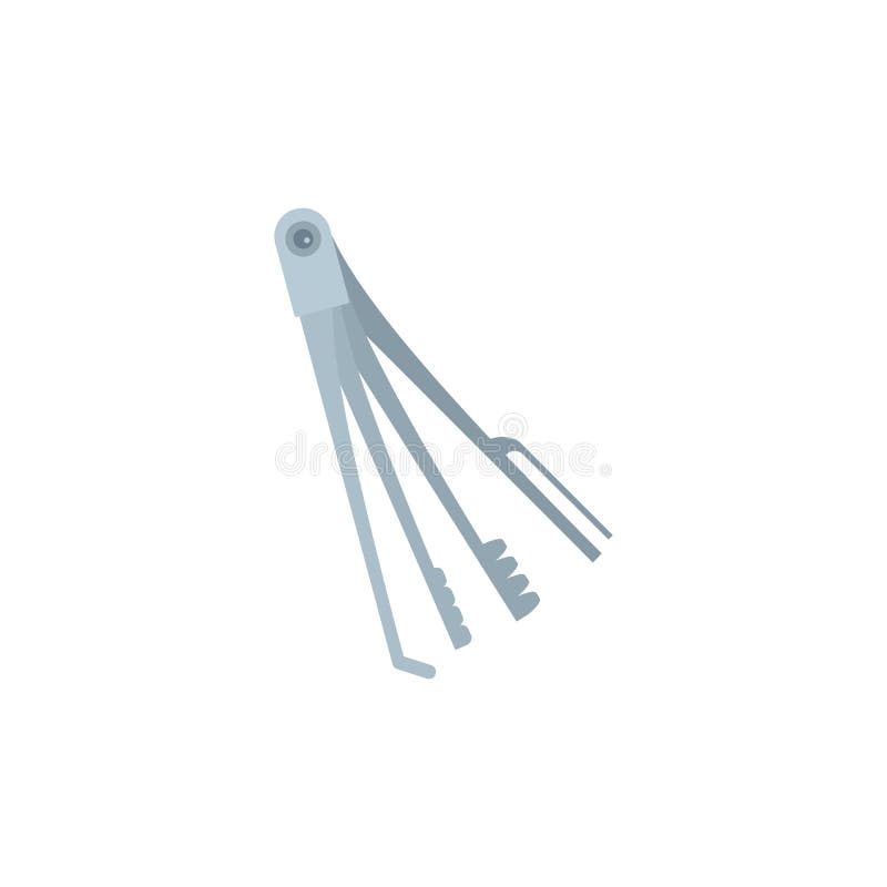 Skeleton Key Icon, Flat Style Stock Vector - Illustration of black ...