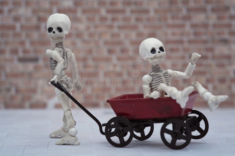 Skeleton kids stock image. Image of human, anatomy, joke - 75378021