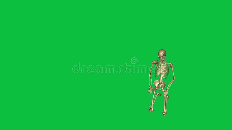 Skeleton Kneel and German Salute - Separate on Green Screen Stock ...
