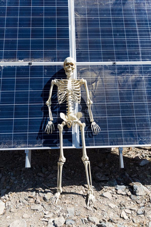 200 Human Skeleton Desert Stock Photos - Free & Royalty-Free Stock ...
