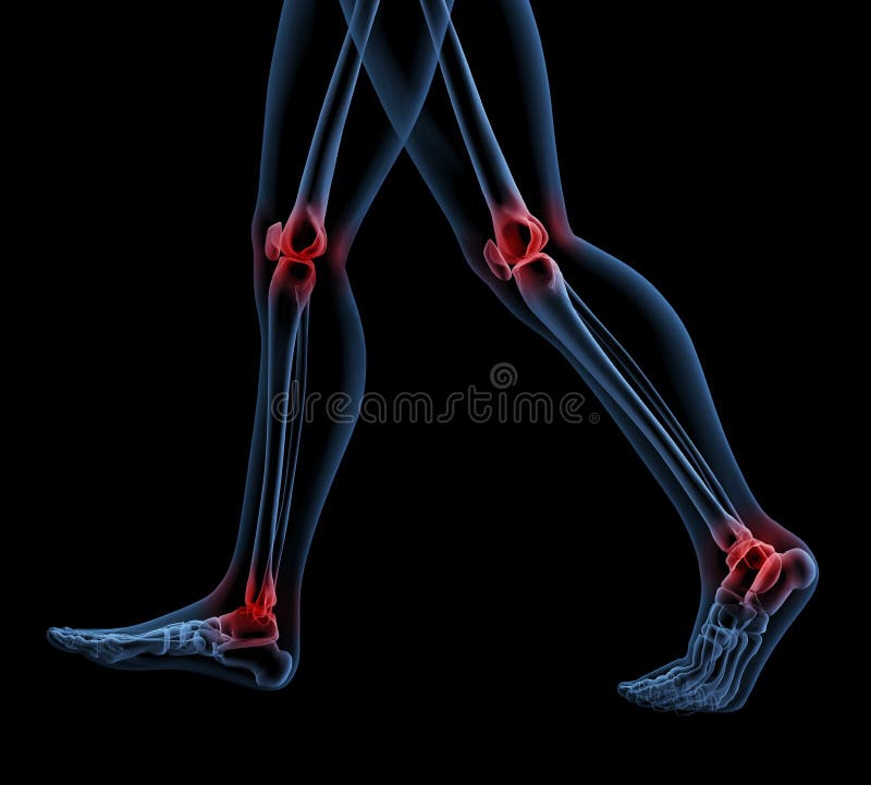 Skeleton legs stock illustration. Illustration of anatomical - 44729022