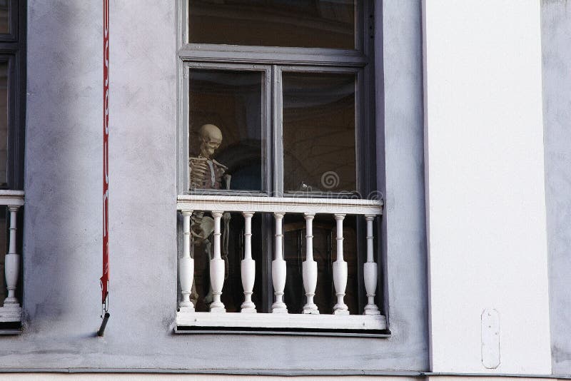 Skeleton stock image. Image of puppet, city, osteology - 49106873