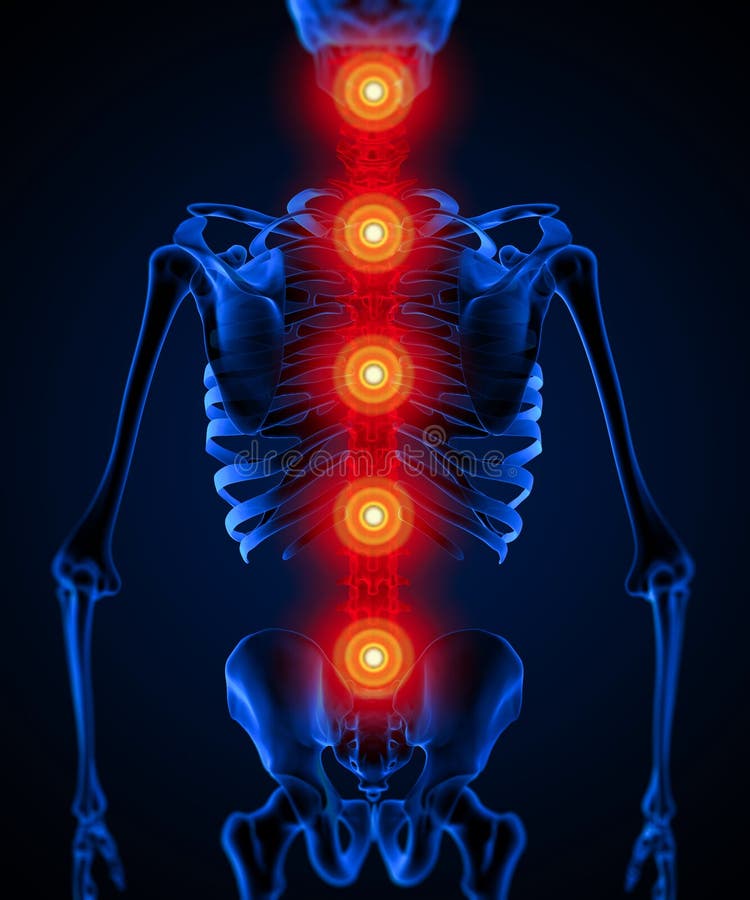 3D Rendering Illustration of Backbone Stock Illustration - Illustration ...