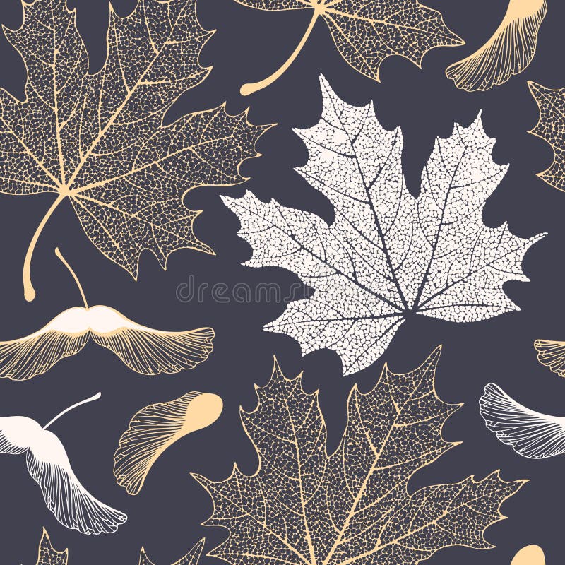 Skeleton Maple Leaf Isolated. Vector Illustration Stock Illustration ...