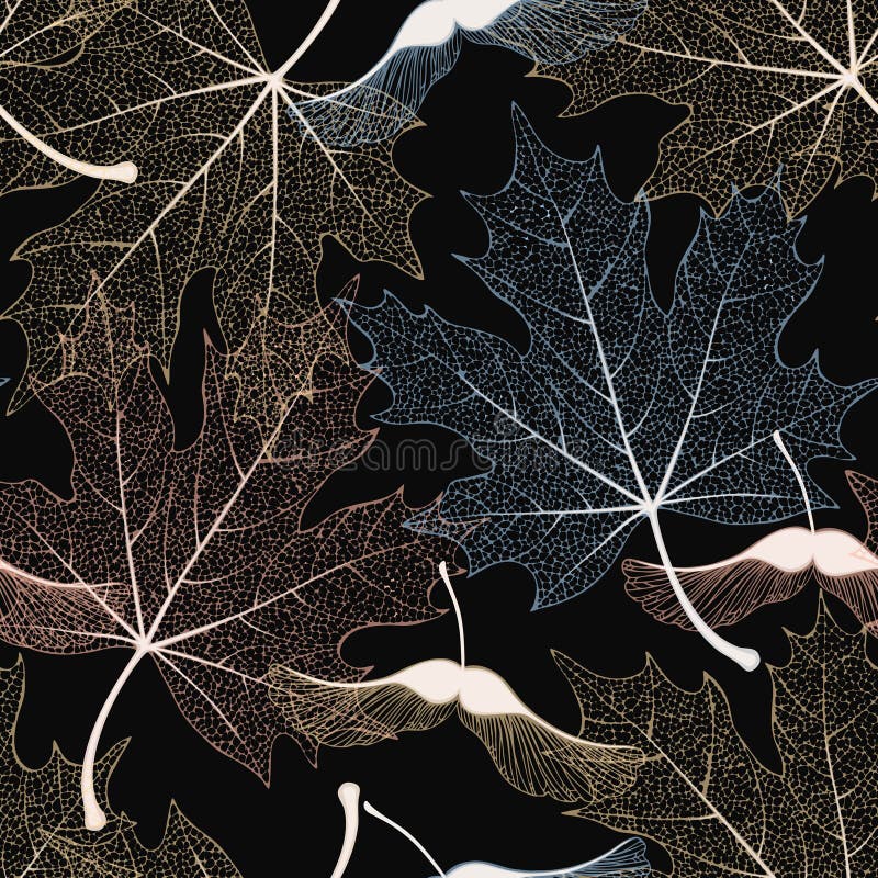 Maple Leaf Skeleton Stock Illustrations – 360 Maple Leaf Skeleton Stock ...