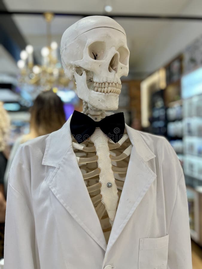 Skeleton Lab Setting Stock Photos - Free & Royalty-Free Stock Photos ...