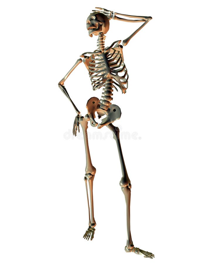 Skeleton in Model pose stock illustration. Illustration of anatomy ...