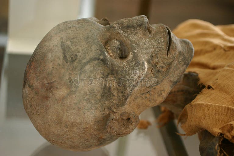 Skeleton mummy stock photo. Image of graveyard, mummified - 15925364