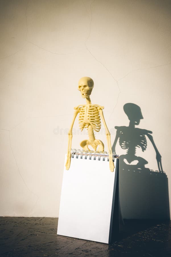 Skeleton and Note Paper on Table, Copy Space for Text, Template for ...