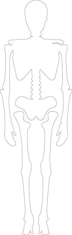 Skeleton Outline Silhouette Generative Ai Stock Vector - Illustration ...