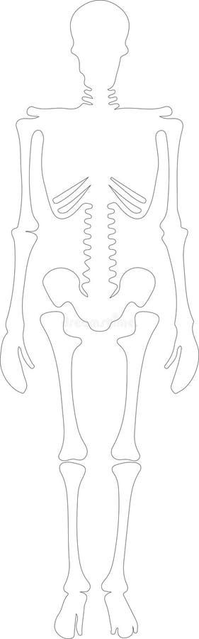 Skeleton Outline Silhouette Generative Ai Stock Vector - Illustration ...