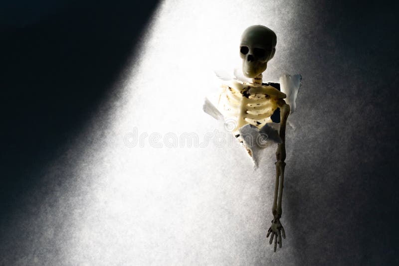 Skeleton on Paper Texture Backlit Stock Image - Image of skeleton ...