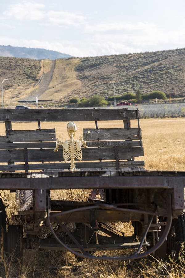 Skeleton Peeking through an Old Truck Bed Suspiciously Keeping an Eye ...