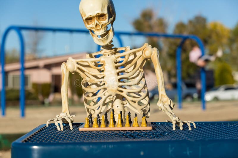 Skeleton playing chess stock image. Image of playing - 129505181