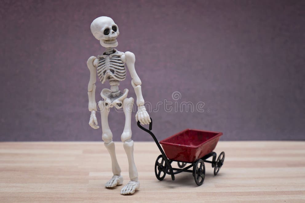 Skeleton stock image. Image of vintage, spooky, retro - 57130785