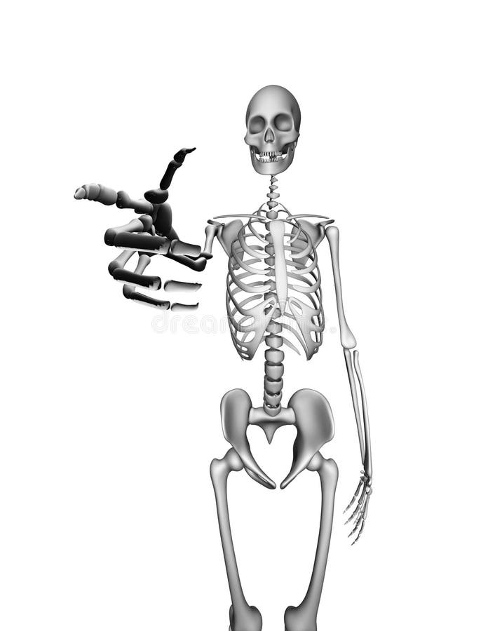 Skeleton Pointing stock illustration. Illustration of white - 55443328