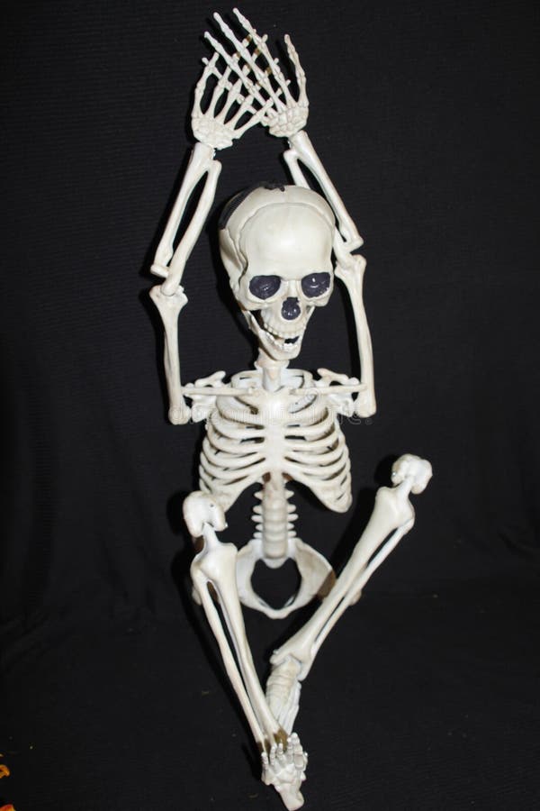 Skeleton poses, halloween, stock image. Image of flexible - 259608589