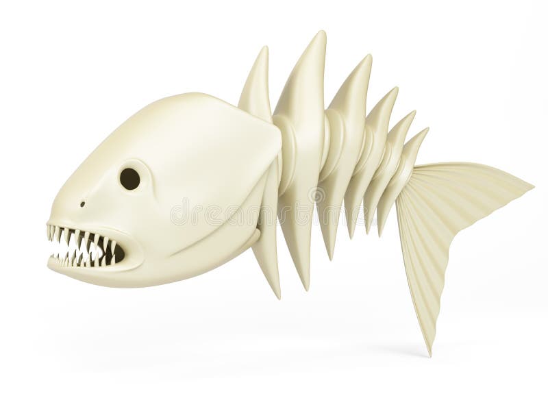 Skeleton of predator fish stock illustration. Illustration of marine ...