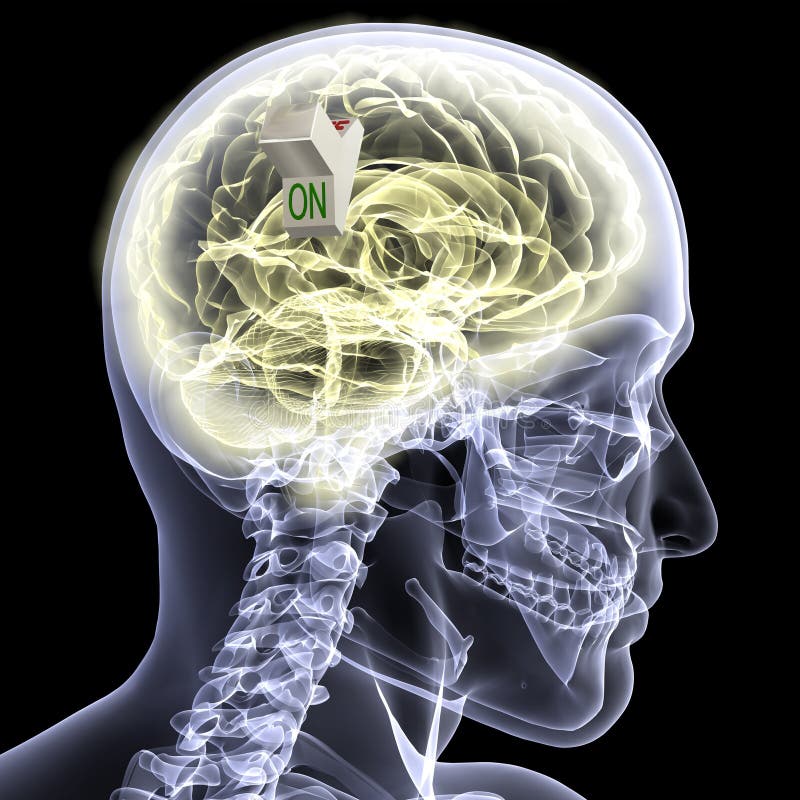 Skeleton X-Ray - Brain with CPU Stock Illustration - Illustration of ...