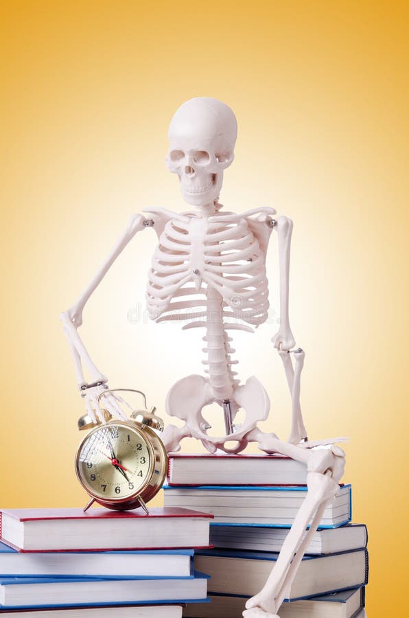 Skeleton reading books stock photo. Image of bone, reading - 30095314