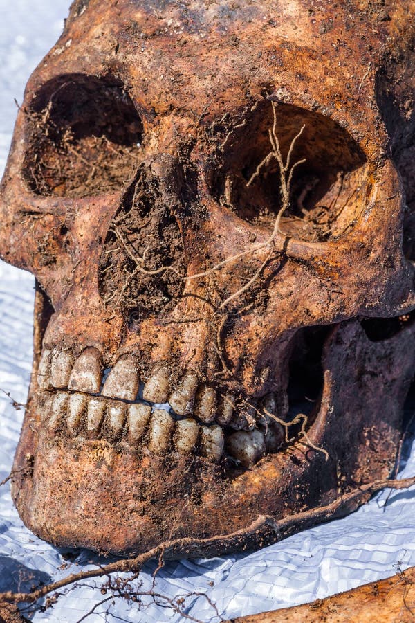 Skeleton Remains of a Buried Unknown Victim Stock Photo - Image of ...