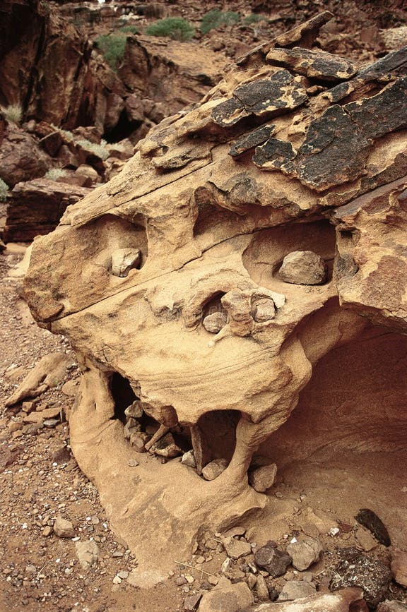 Skeleton rock stock photo. Image of desert, cranium, south - 2355372