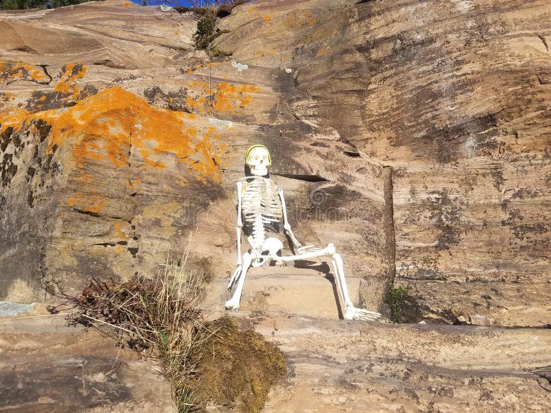 Skeleton Rock and Moon at Sunset, Stock Photo - Image of ecosystem ...