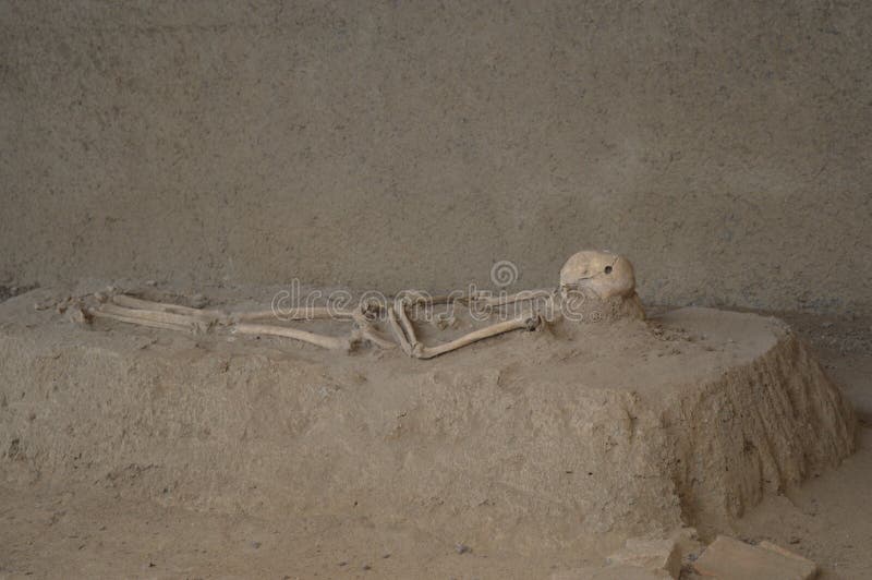 The skeleton of a Roman stock image. Image of human, bone - 64190179