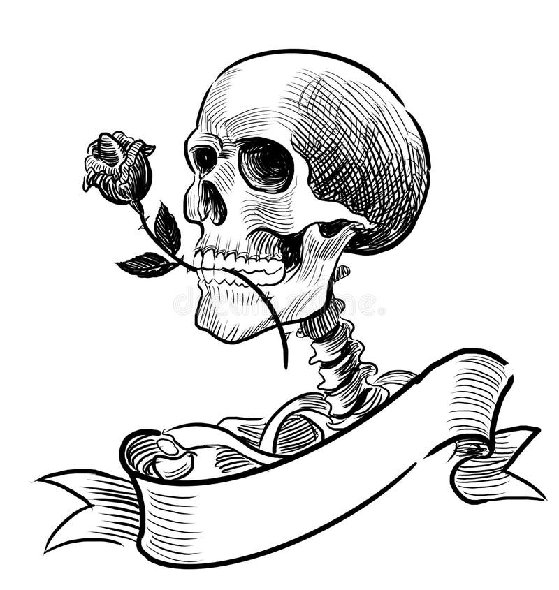 Skeleton with a Rose in Its Teeth Stock Illustration - Illustration of ...