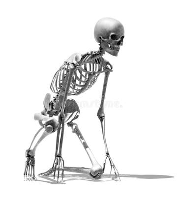 Human Skeleton Kneeling Stock Illustrations – 35 Human Skeleton ...