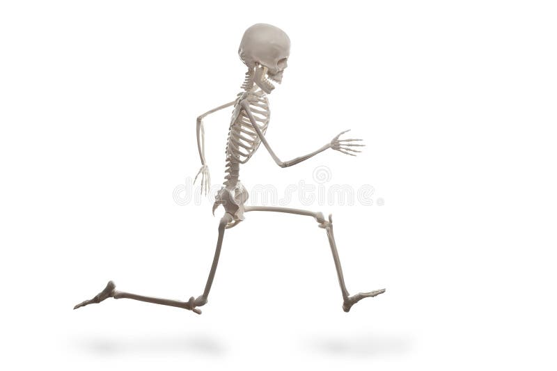 185 Running Human Skeleton Photos - Free & Royalty-Free Stock Photos ...
