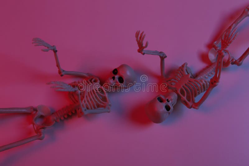 Skeleton stock photo. Image of cranium, biology, minimal - 249321312