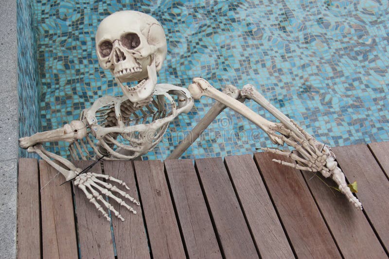 Skeleton Wasser-Wüste stockbild. Bild von wasser, austrocknen - 30969297