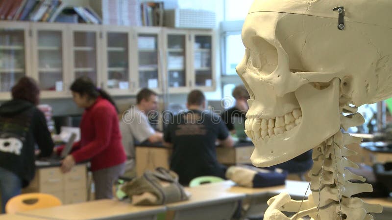 Skeleton in Science Class with Middle Students in the Back Ground (2 of ...