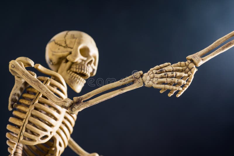 Skeleton shaking hands stock image. Image of support - 60636987