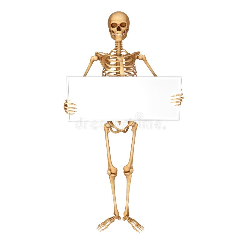 Skeleton Showing Sign Isolated with Blank Stock Illustration ...