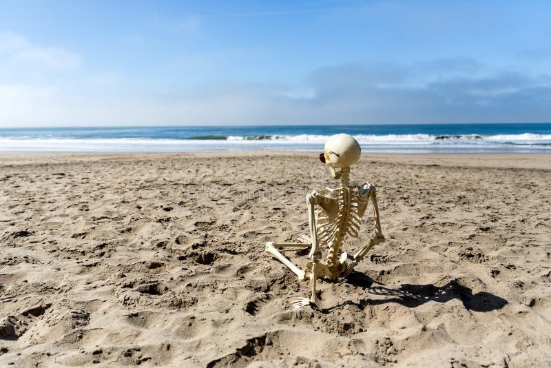 Skeleton Sits on a Bench at the Beach Watching the Ocean Stock Image ...