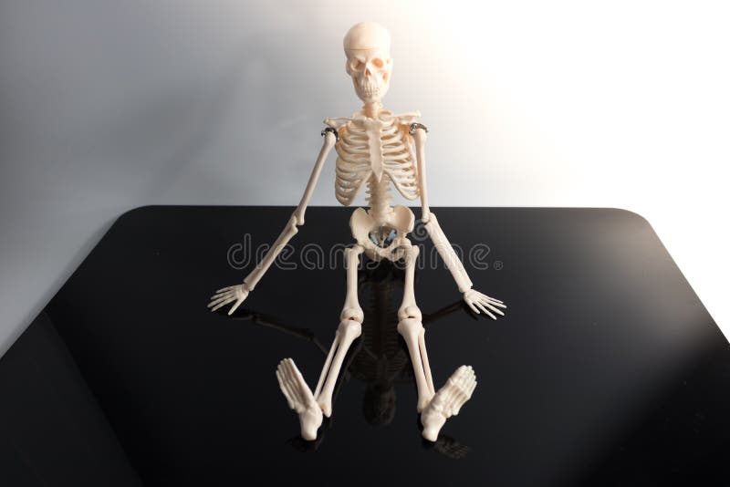 White Skeleton Model Isolated On Dark Background Stock Photo - Image of ...