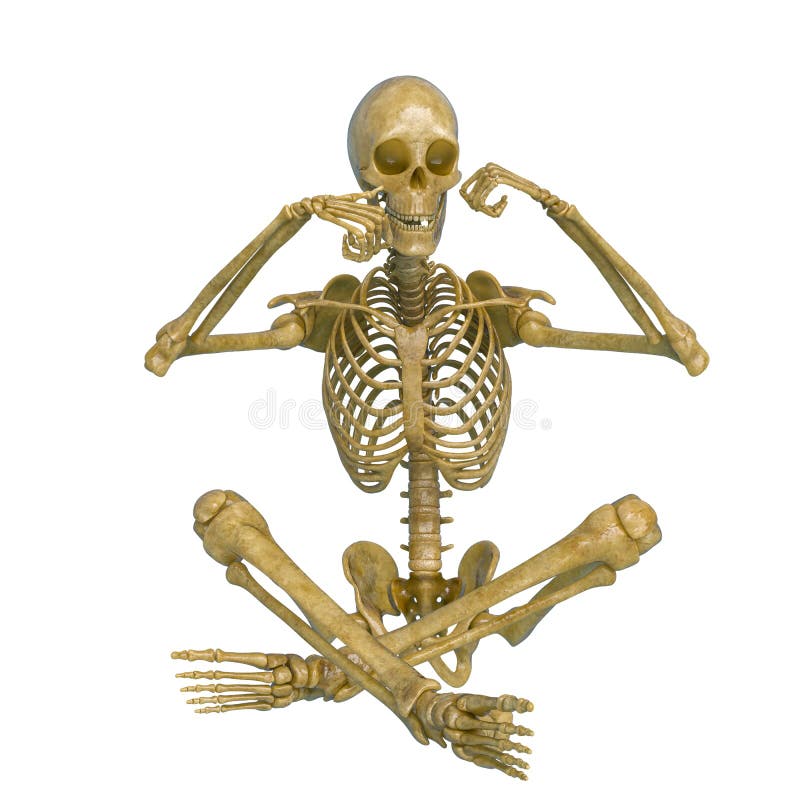 Skeleton Sitting White Background Stock Illustrations – 185 Skeleton ...