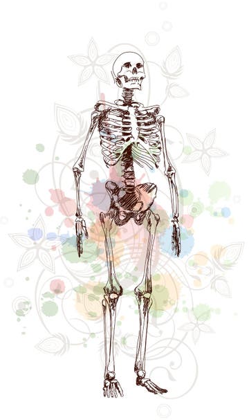 Skeleton Sketch Stock Illustrations – 12,582 Skeleton Sketch Stock ... Skeleton Sketch Stock Illustrations – 12,582 Skeleton Sketch Stock ...