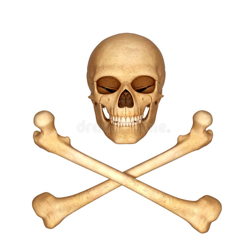 Skeleton skull with bones isolated with white, 3d art illustration of ...