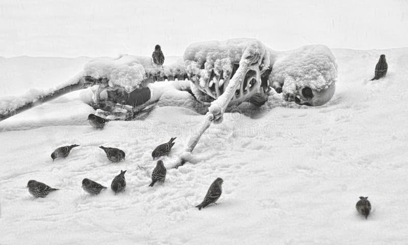 Skeleton in Snow with Birds Stock Photo - Image of black, depressing ...