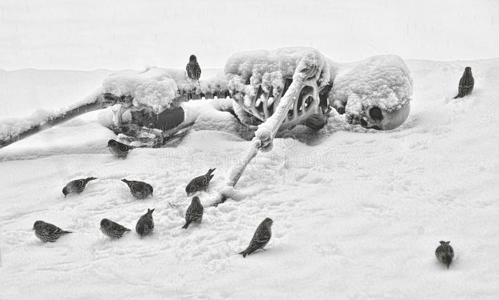 Skeleton in Snow with Birds Stock Photo - Image of black, depressing ...