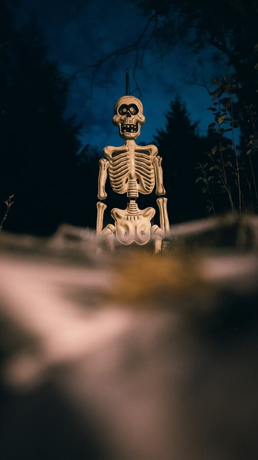 Skeleton Standing on the Dark Jungle Stock Photo - Image of night ...