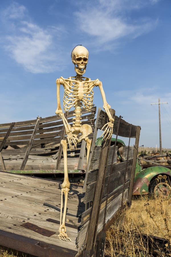 Skeleton Standing on an Old Truck Bed in a Dead Grass Field Stock Image ...